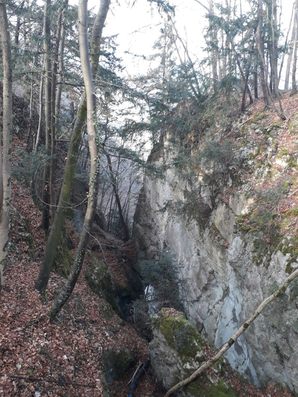 Wanderung in die Neue Welt – Oberklien - Stadt Hohenems
