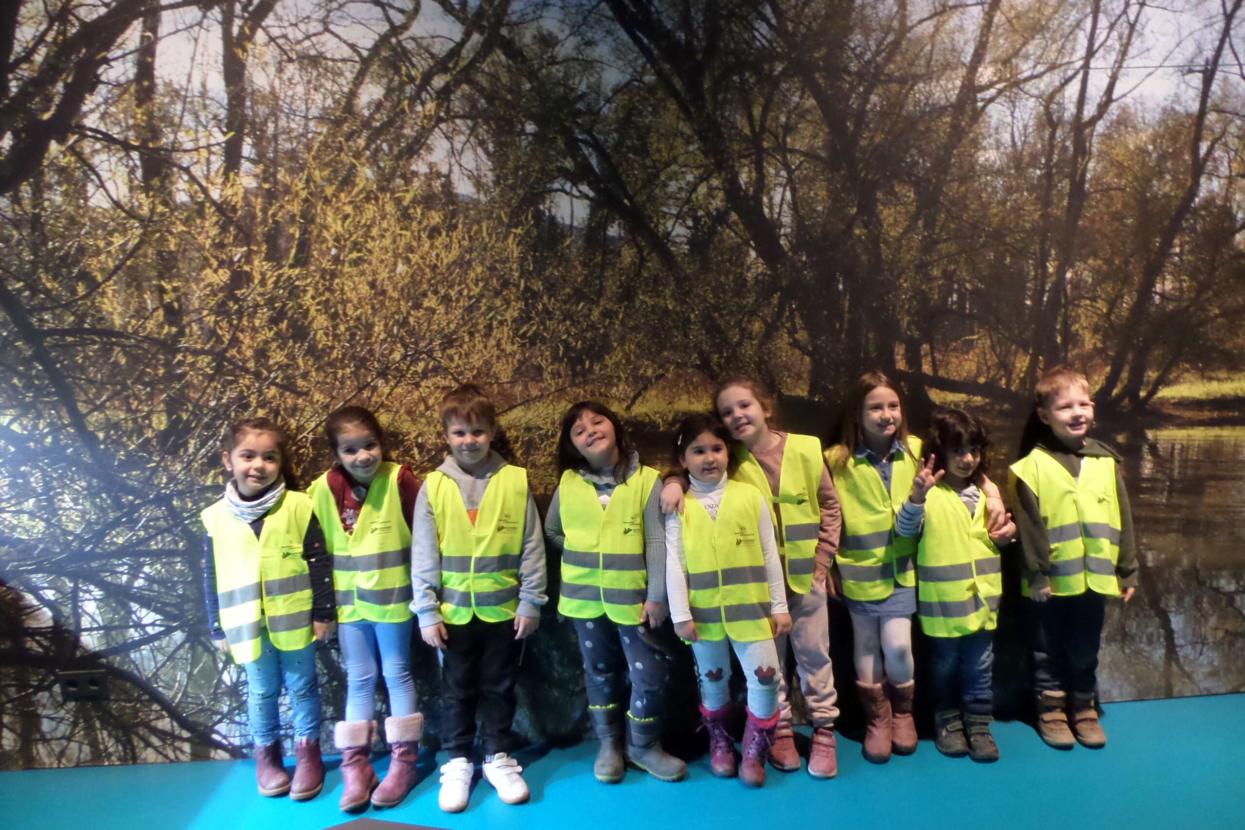 Welche Tiere schlafen eigentlich im Winter? ... - Stadt Hohenems