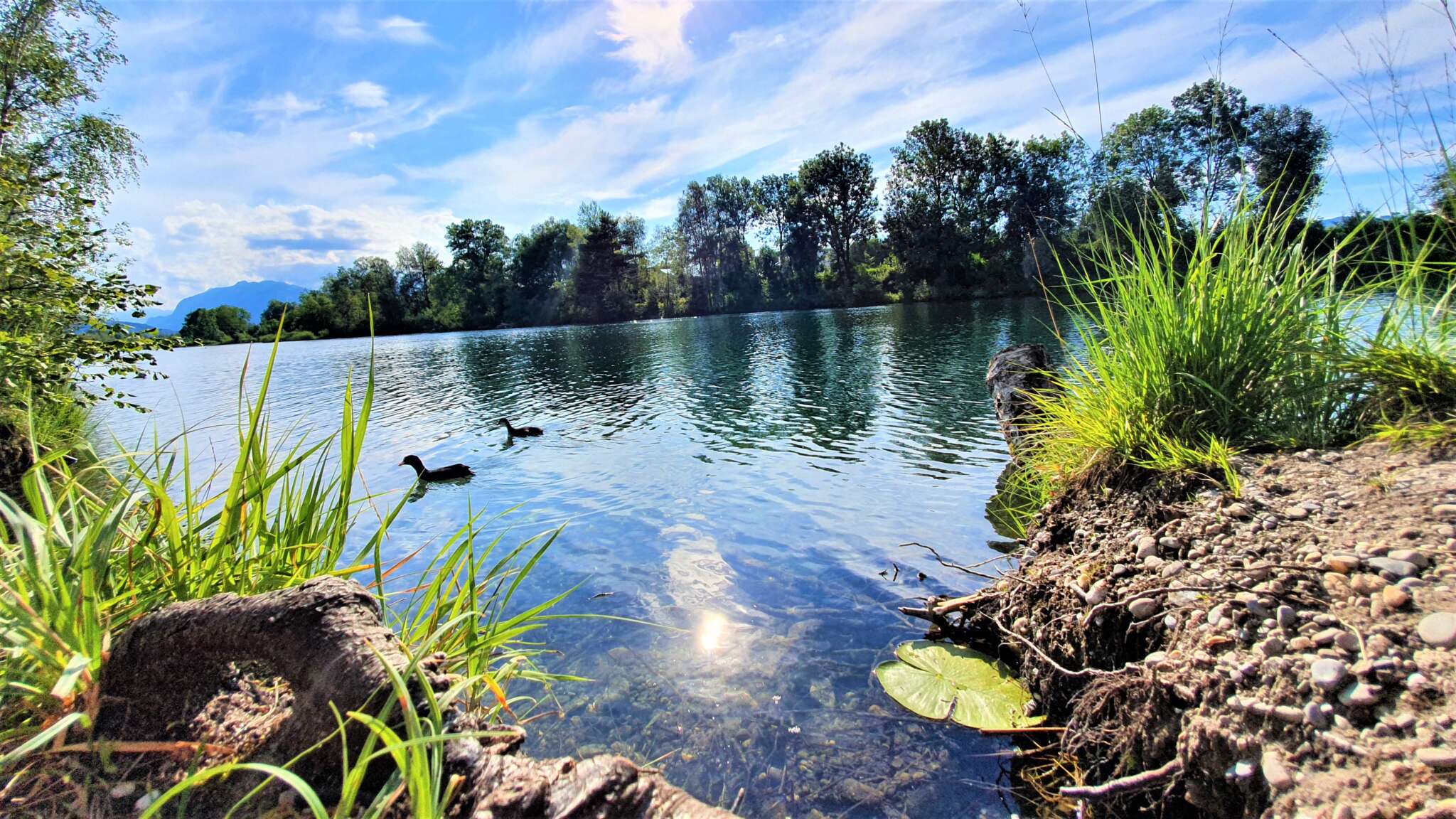 100 Jahre Rheindurchstich - Liedtexte - Stadt Hohenems