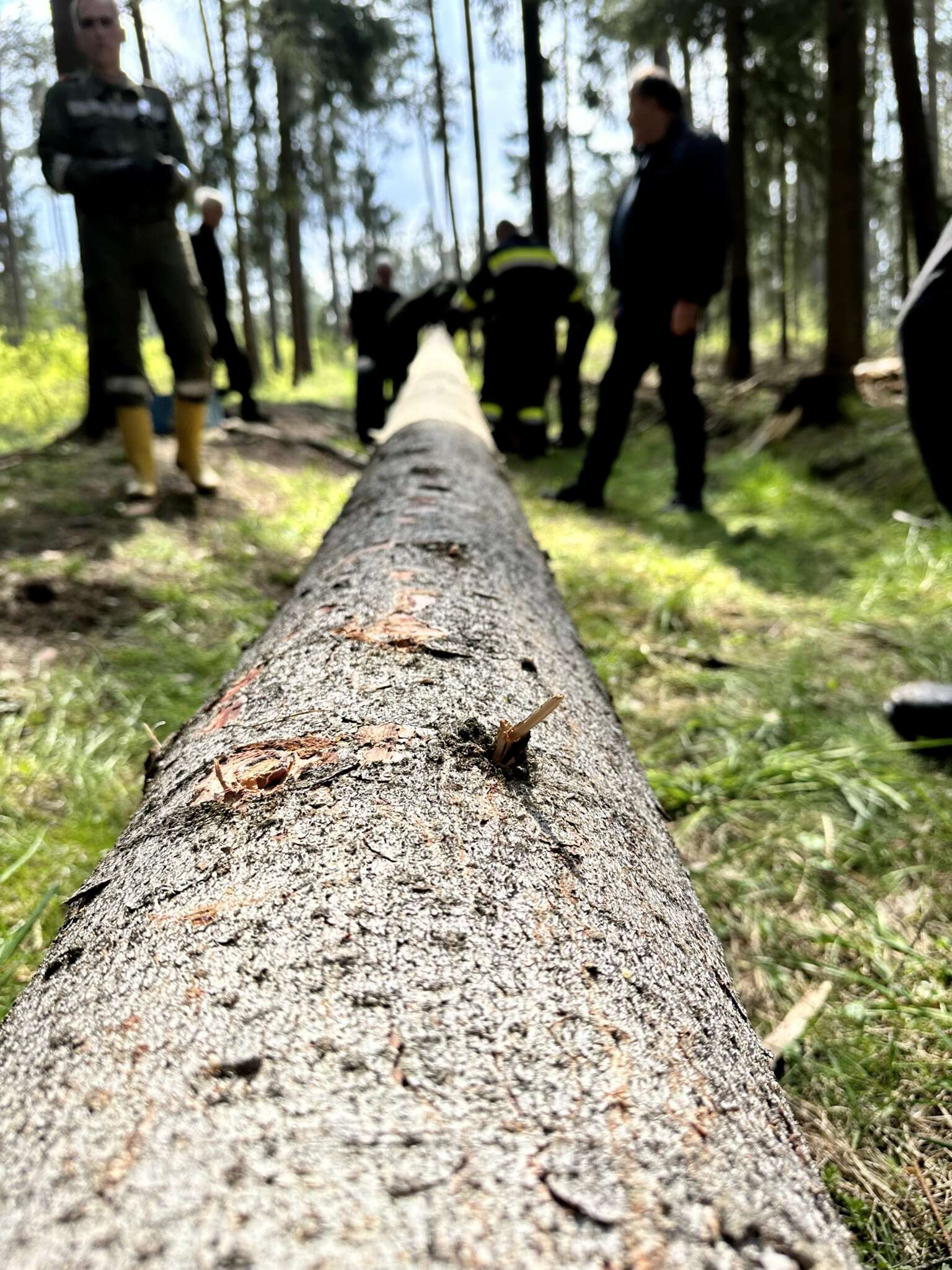 Besuch der Funkenzunft Erlach in Karlstein - Stadt Hohenems